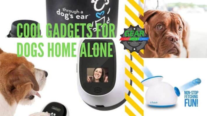 Cool Gadgets For Dogs Home Alone – Gear Gadgets and Gizmos